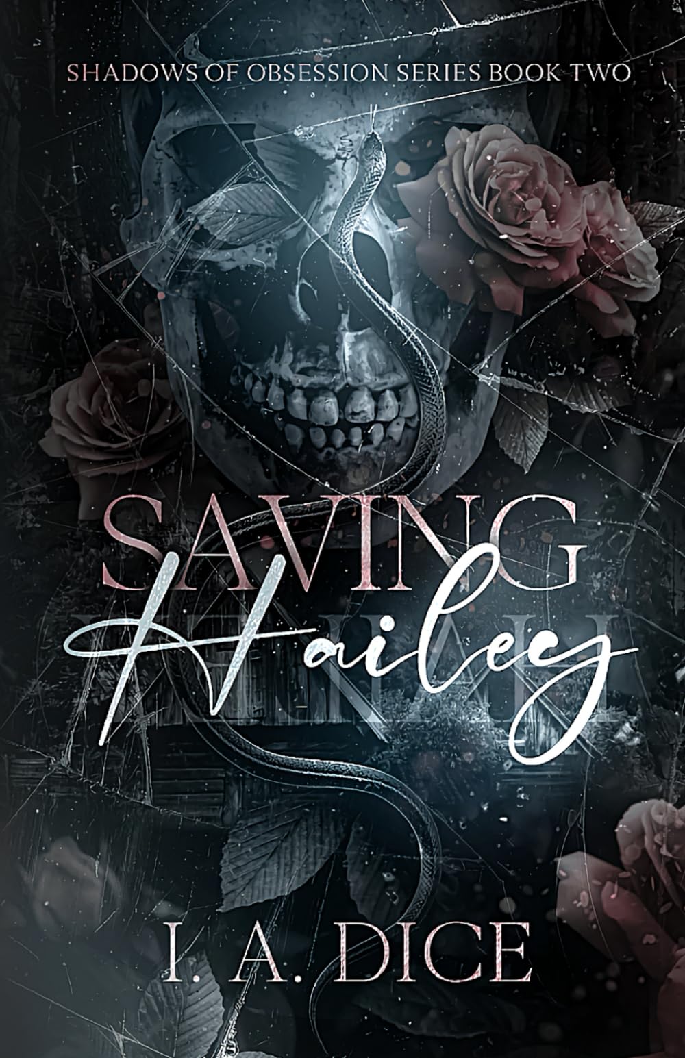 Amazon.com: Saving Hailey (Shadows of Obsession): 9798325461835: Dice ...