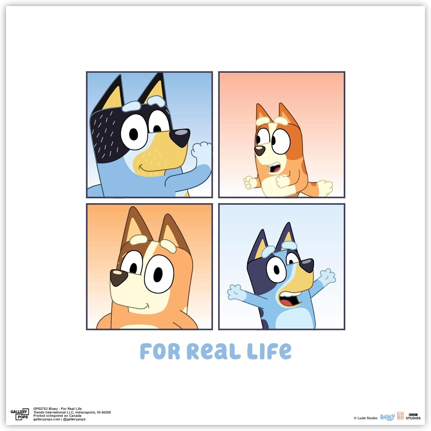 Amazon.com: Trends International Gallery Pops Bluey - For Real Life ...