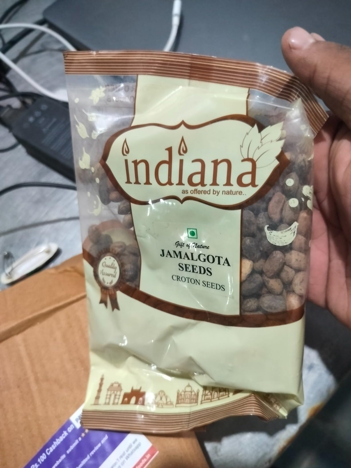 Indiana as offered by nature Jamalgota Seed | Croton Seed | Croton ...