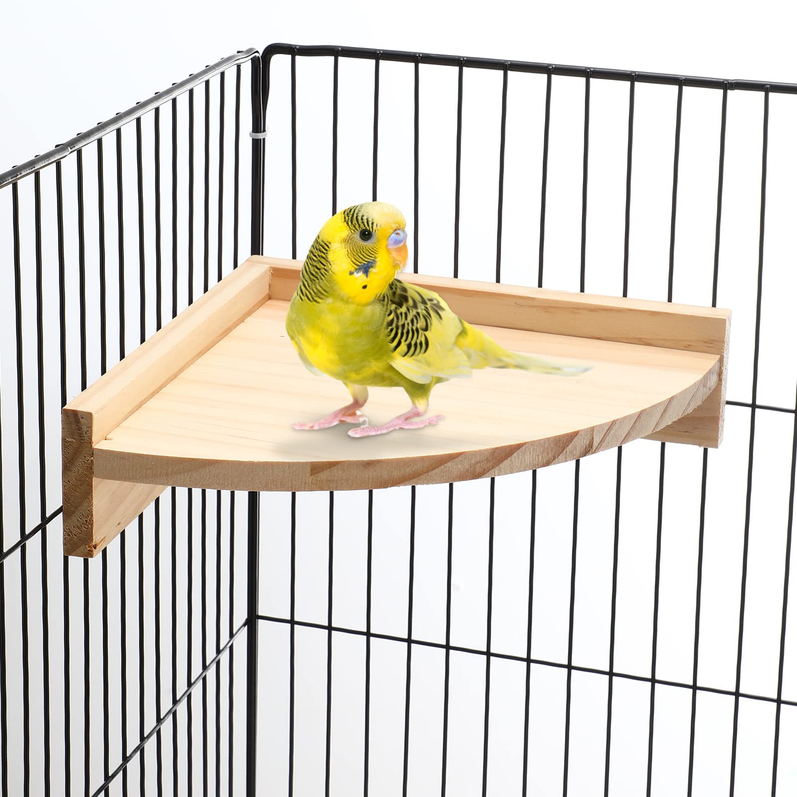 Snapklik.com : Wettarn 6 Pcs Bird Perch Platform Bird Corner Parrot ...