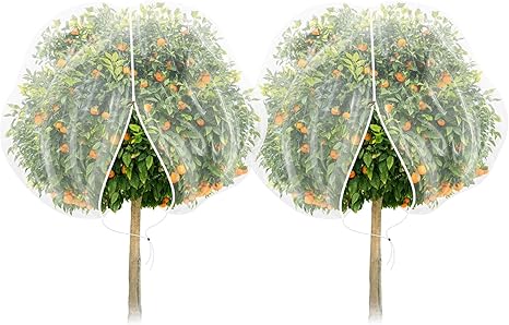 Amazon.com : TWOWYHI 2Pack Garden Netting 10X10 Feet Large Fruit Tree Netting with Zipper and ...