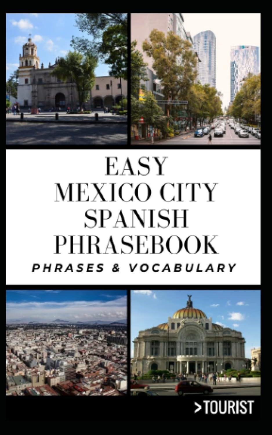 Easy Mexico City Spanish Phrasebook: 800+ Easy-to-Use Phrases written ...