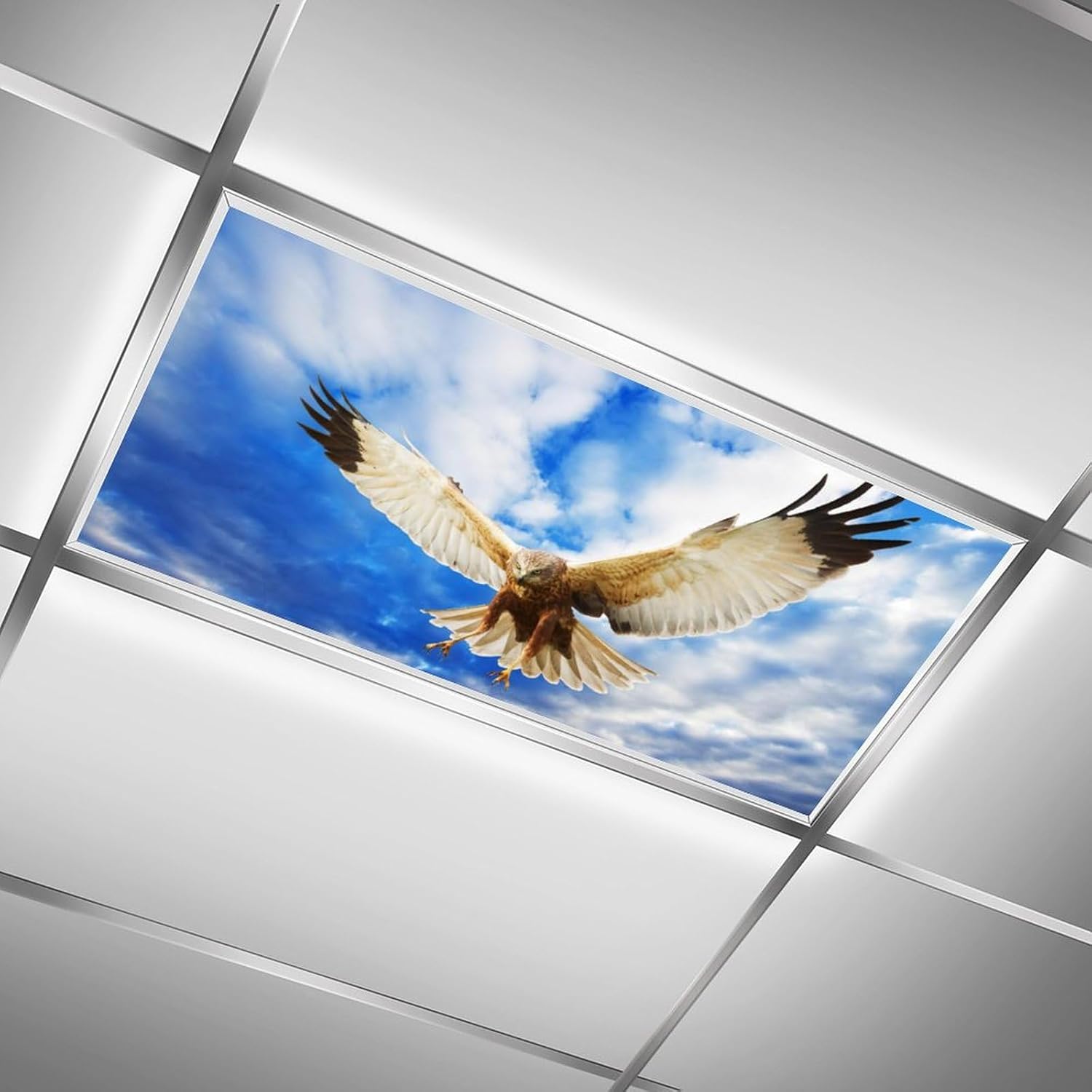 2 Pack Fluorescent Light Cover for Ceiling Light - Magnetic Light ...