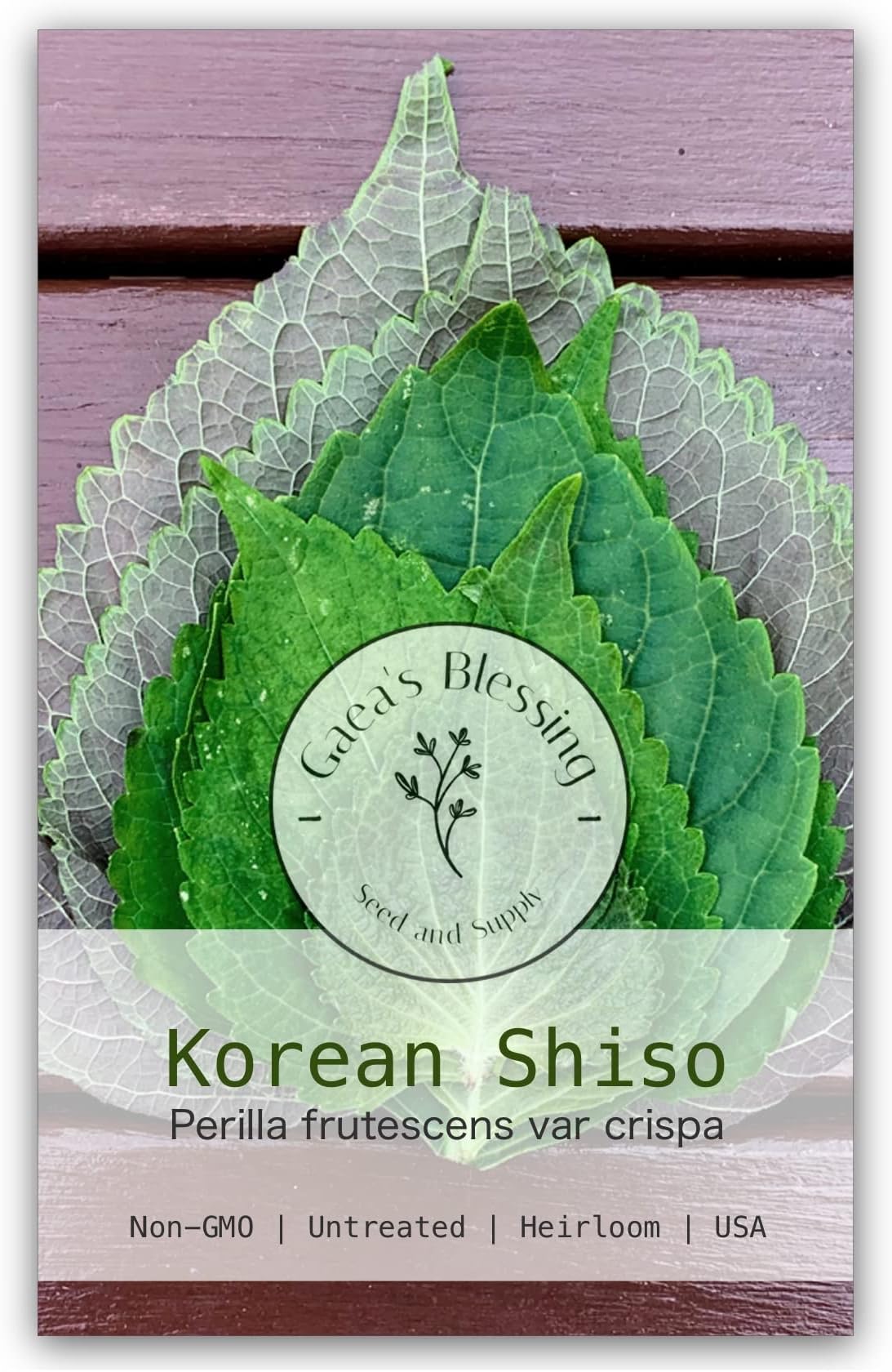 Amazon.com : 2000 Vietnamese Perilla Seeds - La Tia to - AKA. Shiso ...