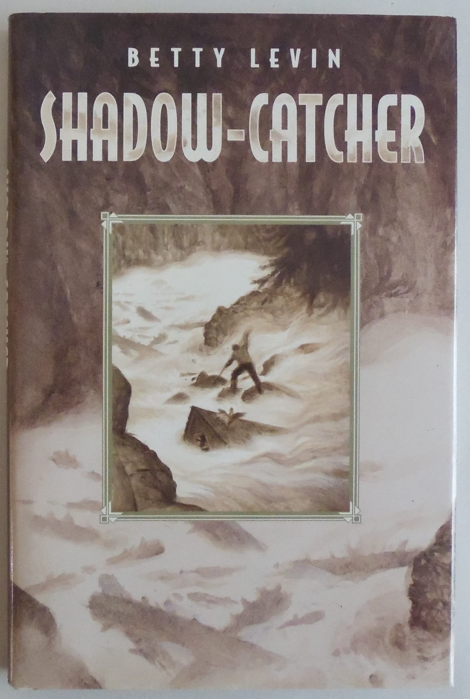 Amazon.com: Shadow-Catcher: 9780688178628: Levin, Betty: Books