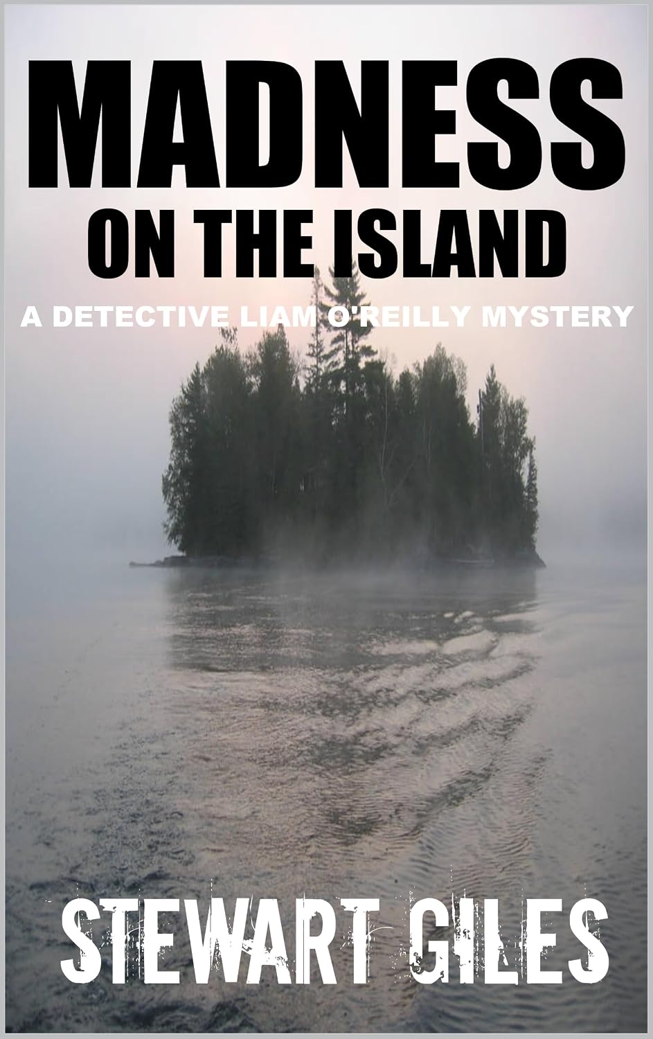 Amazon.com: Madness on the Island (DI Liam O'Reilly mysteries Book 14 ...