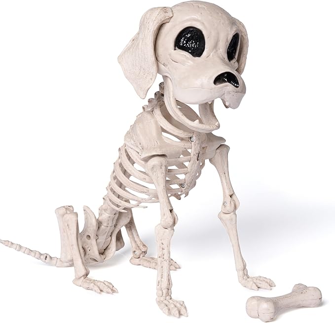Amazon.com: JOYIN Posable Halloween Dog Skeleton Full Body Posable ...