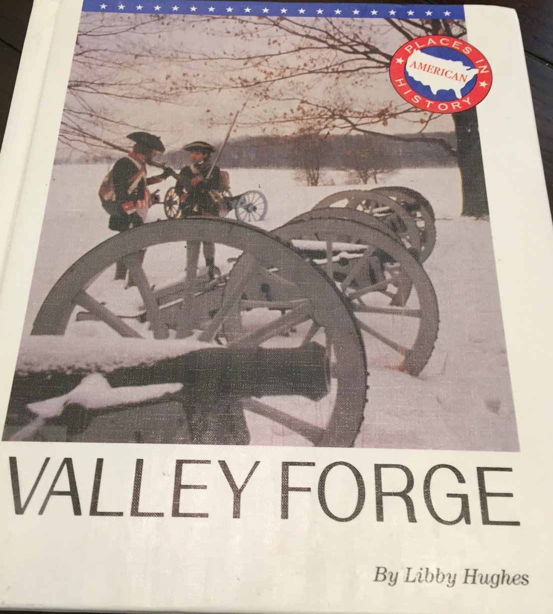 Valley Forge (Places in American History): Hughes, Libby: 9780875185477 ...