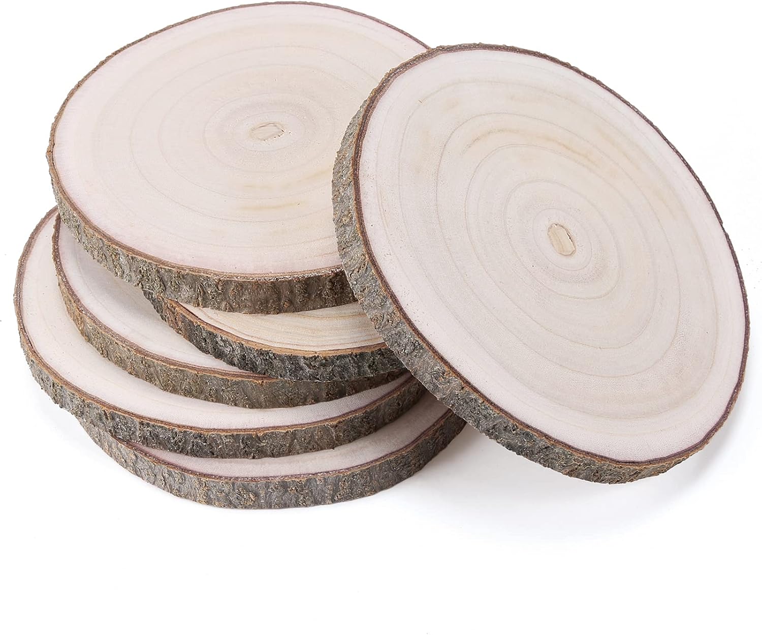 Large Natural Wood Slices for DIY Projects and Centerpieces in Nepal at ...