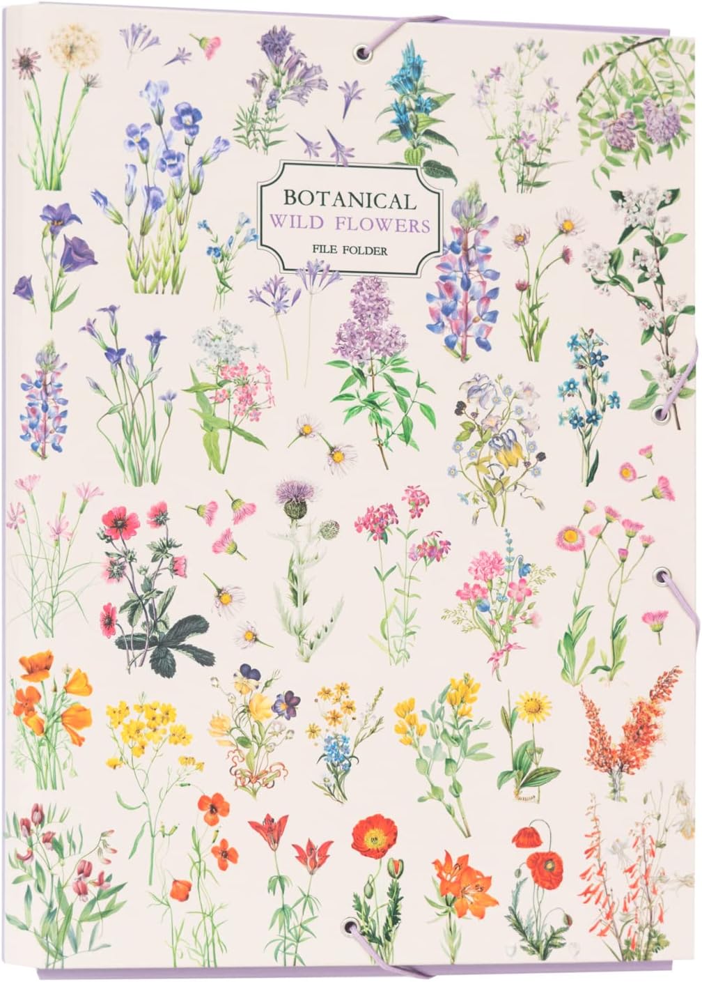 Amazon.com : Grupo Erik Botanical Wild Flowers A4 File Folder | 13.4 x 10 inches - 34 x 25.5 cm ...