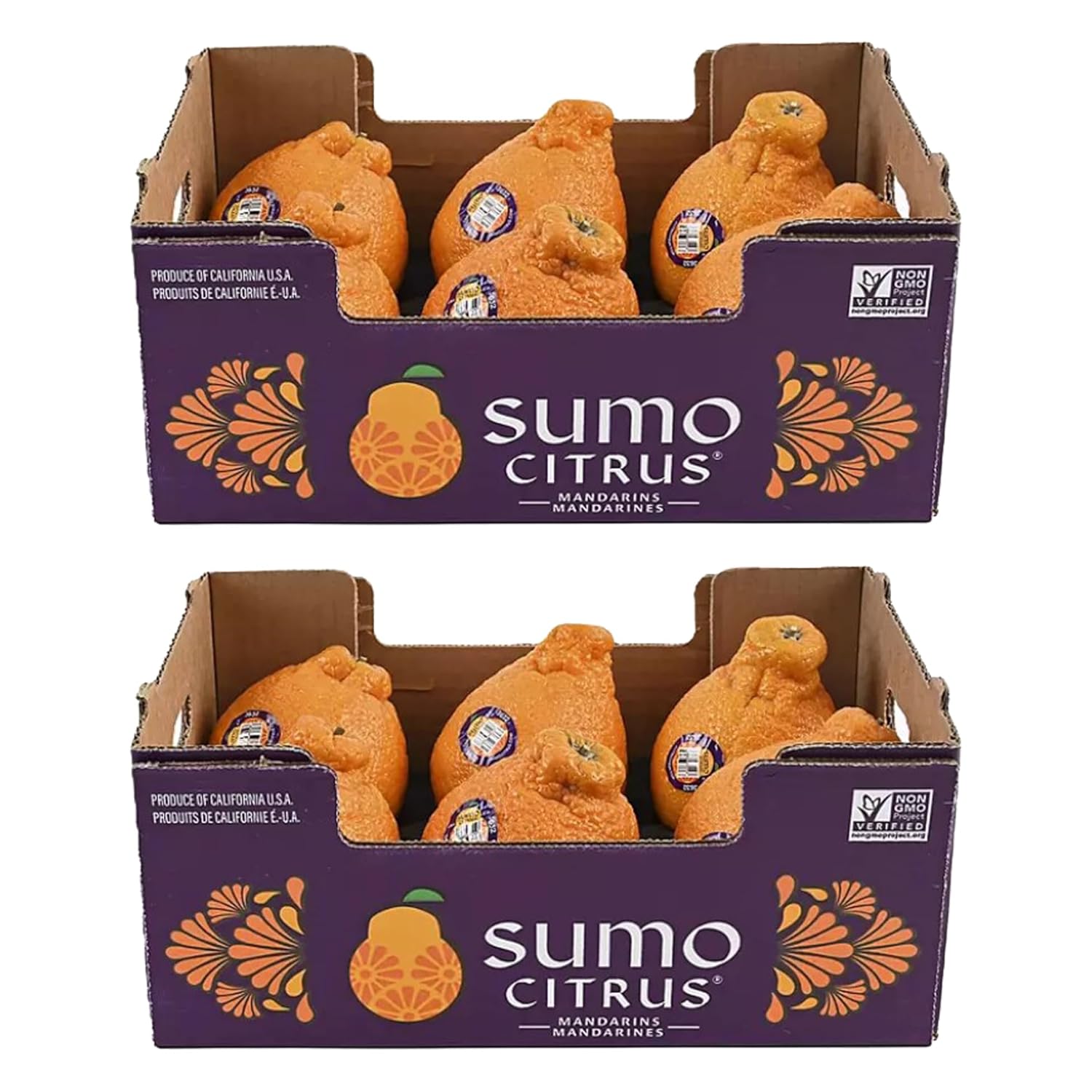 Amazon.com: Fresh Sumo Citrus Mandarins - 12 Pack - Naturally Sweet ...