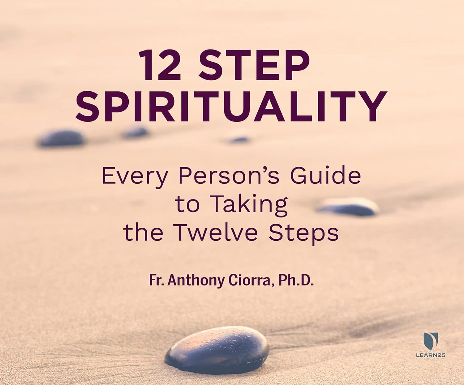 12 Step Spirituality: Every Person's Guide to Taking the Twelve Steps ...
