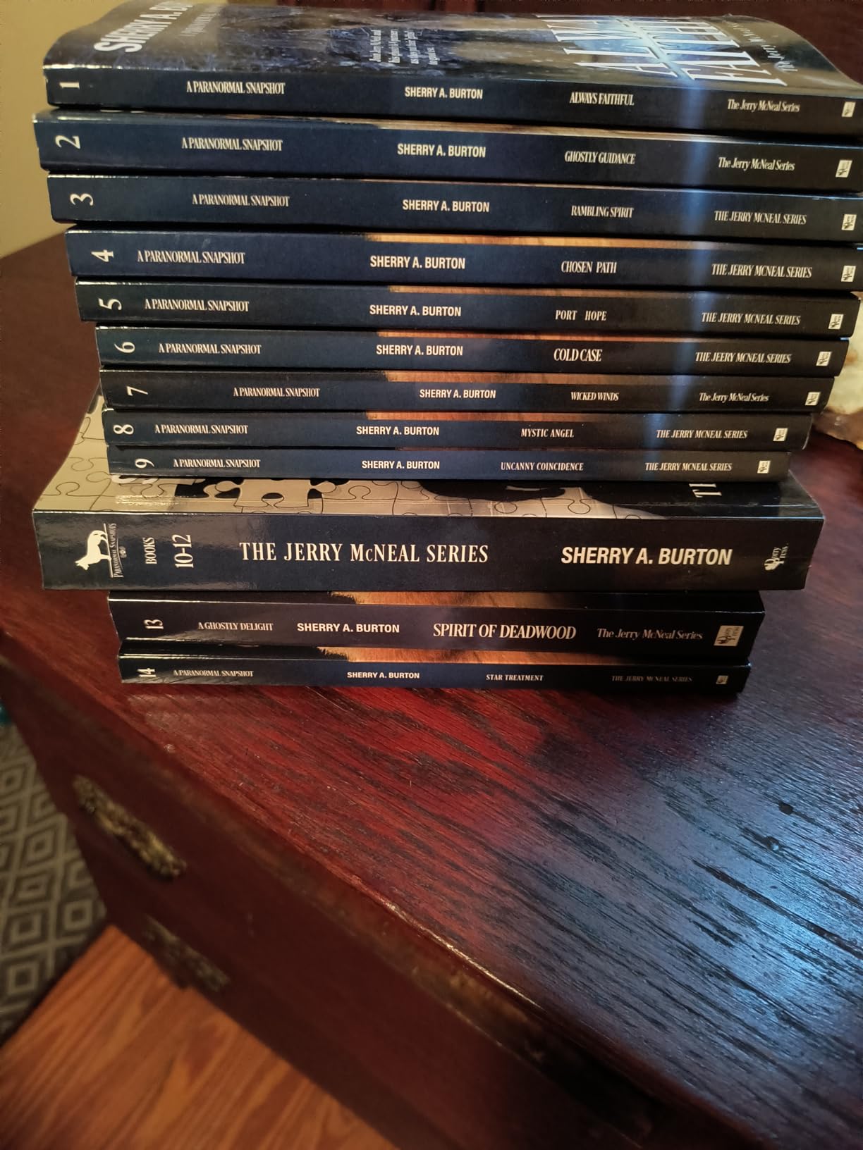 Amazon.com: The Jerry McNeal Series, a Paranormal Snapshot Collection ...