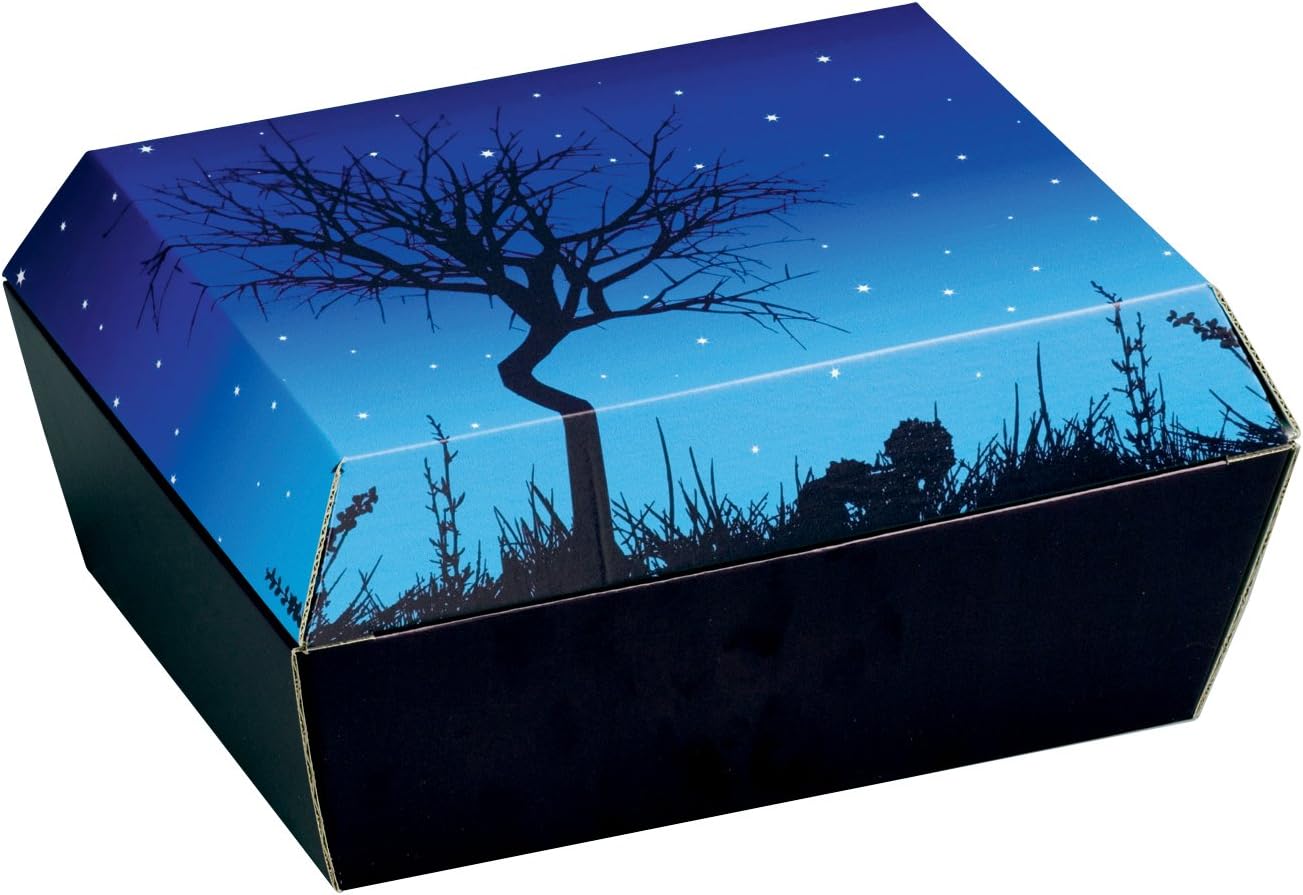 Amazon.com : Amopet Corrugated Cordboard Size 2 Pet Coffin/Casket for ...