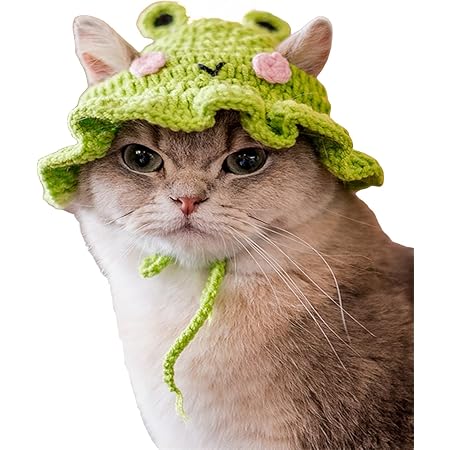 Amazon.com : Kitan Club Cat Cap - Pet Hat Blind Box Includes 1 of 5 ...