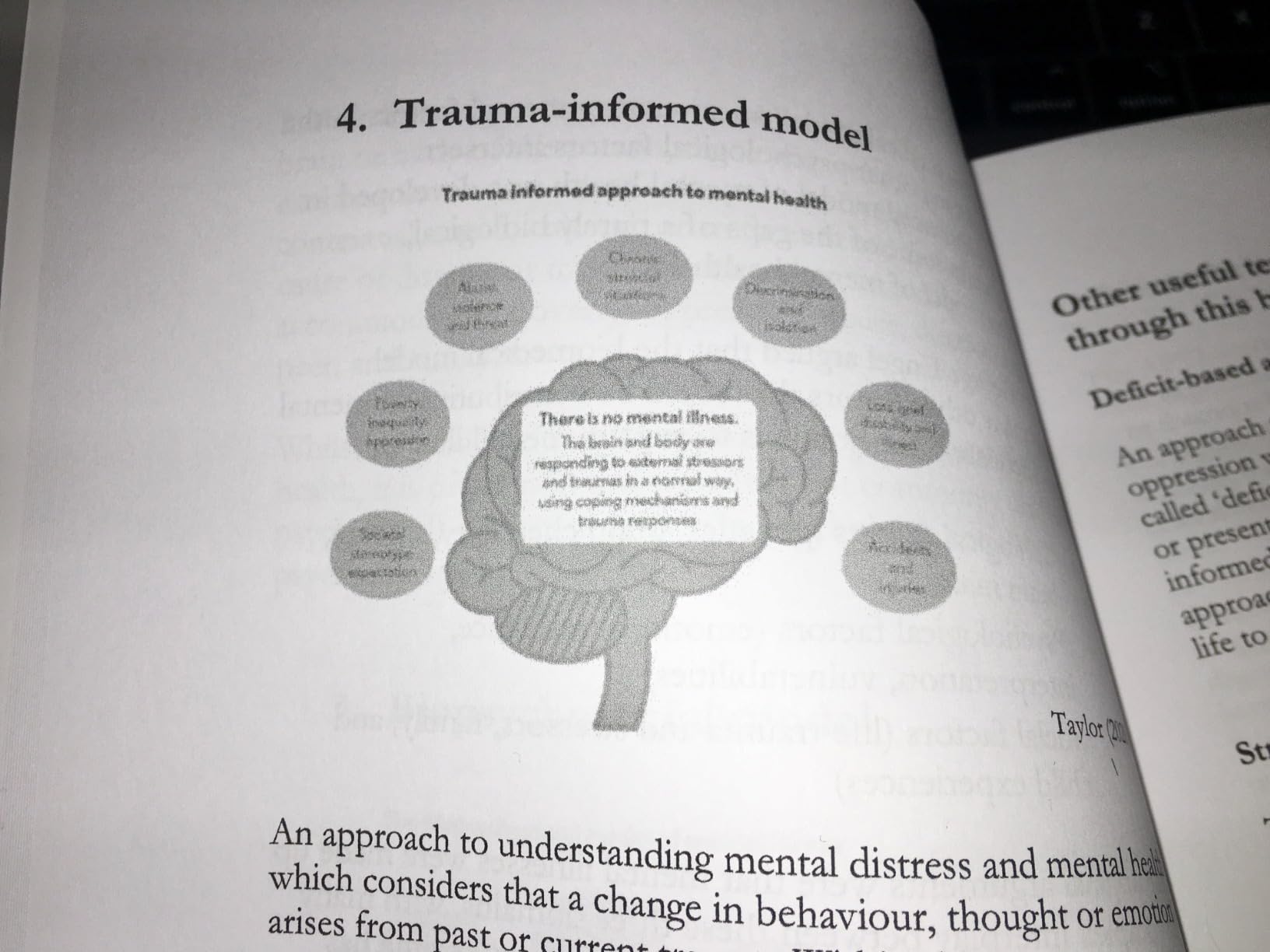 Indicative Trauma Impact Manual ITIM: ITIM for Professionals : Taylor ...