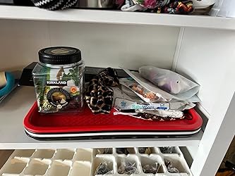 Amazon.com: Yarlung 6 Pack Plastic Fast Food Trays, 16x12 Inches ...