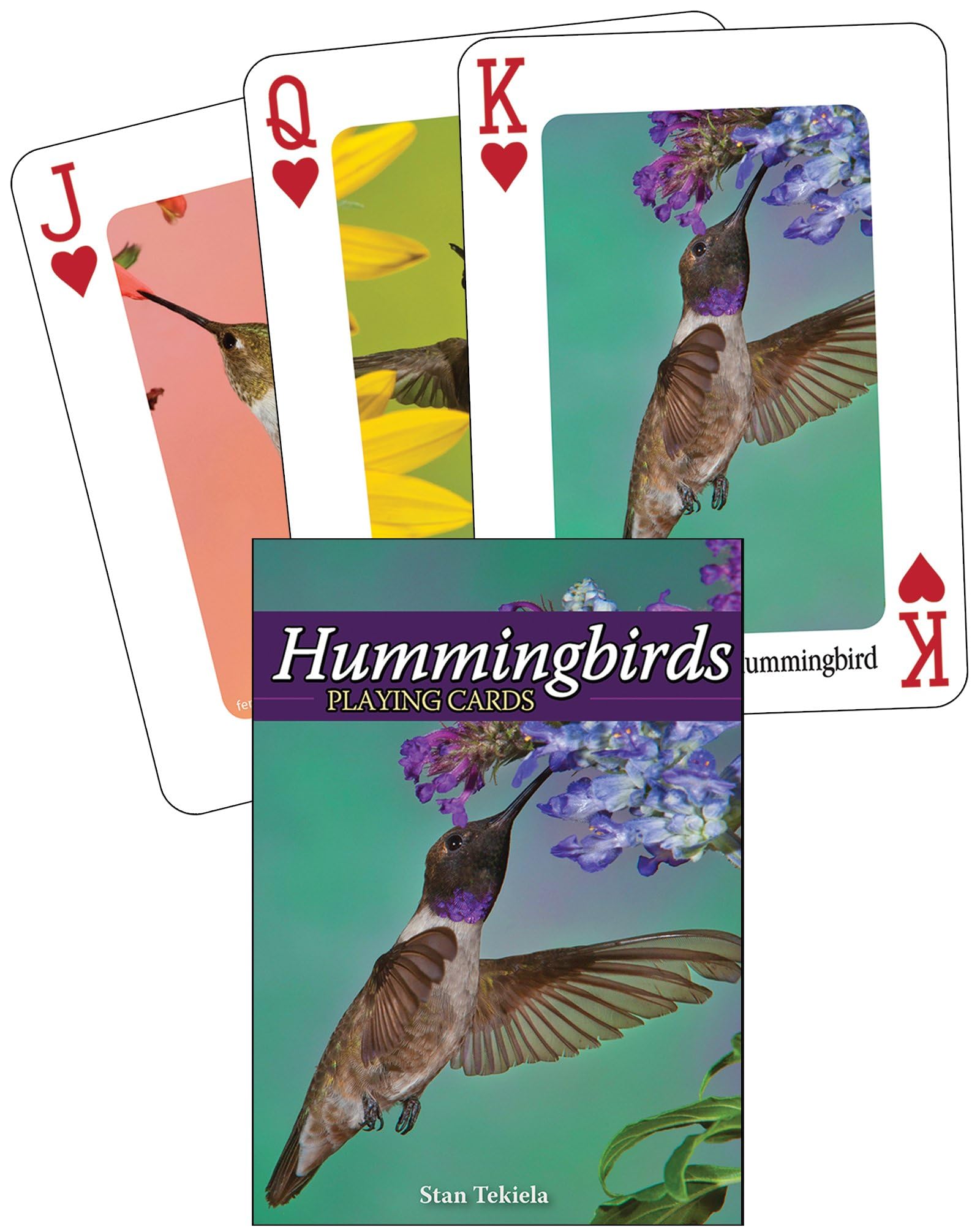 Amazon.com: Hummingbirds Playing Cards (Nature's Wild Cards ...