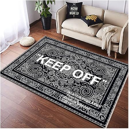 Amazon.com: YIKUDU Keep Off Large Rugs Floor Mat Modern Carpet for Home ...