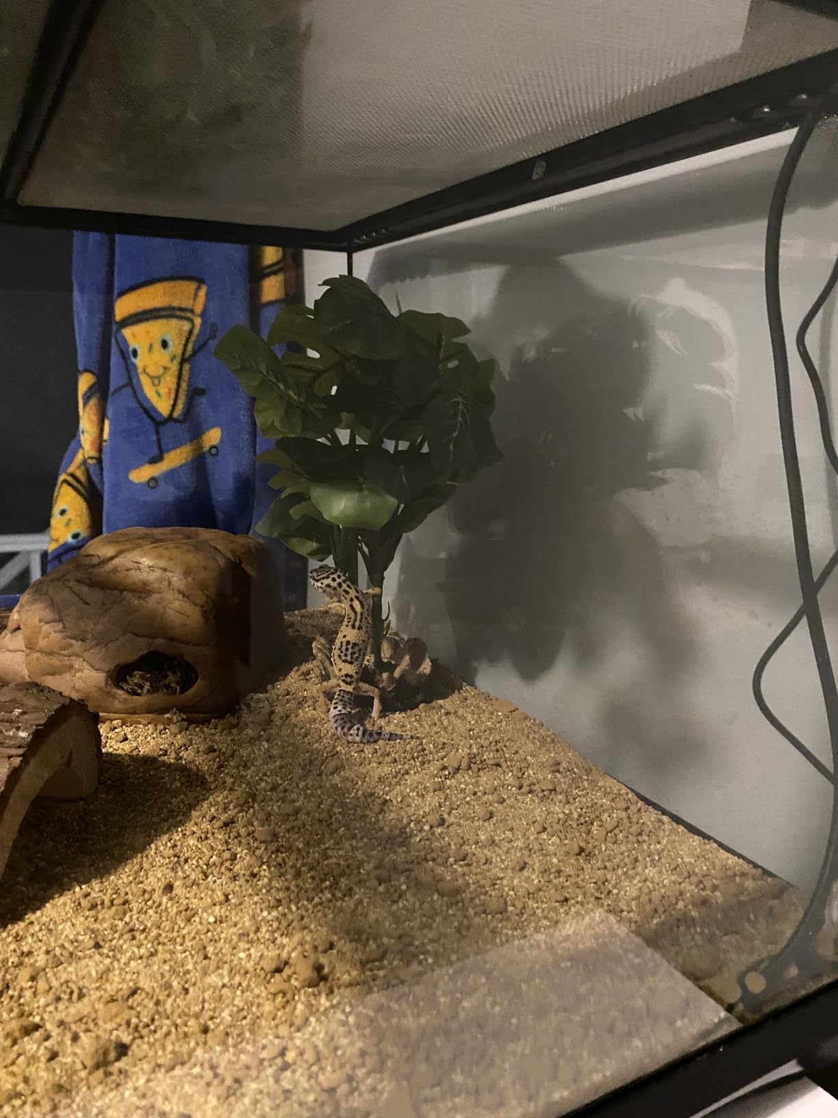 ProRep Leo Life Substrate 10L | Leopard Gecko Substrate | Mixed Desert ...