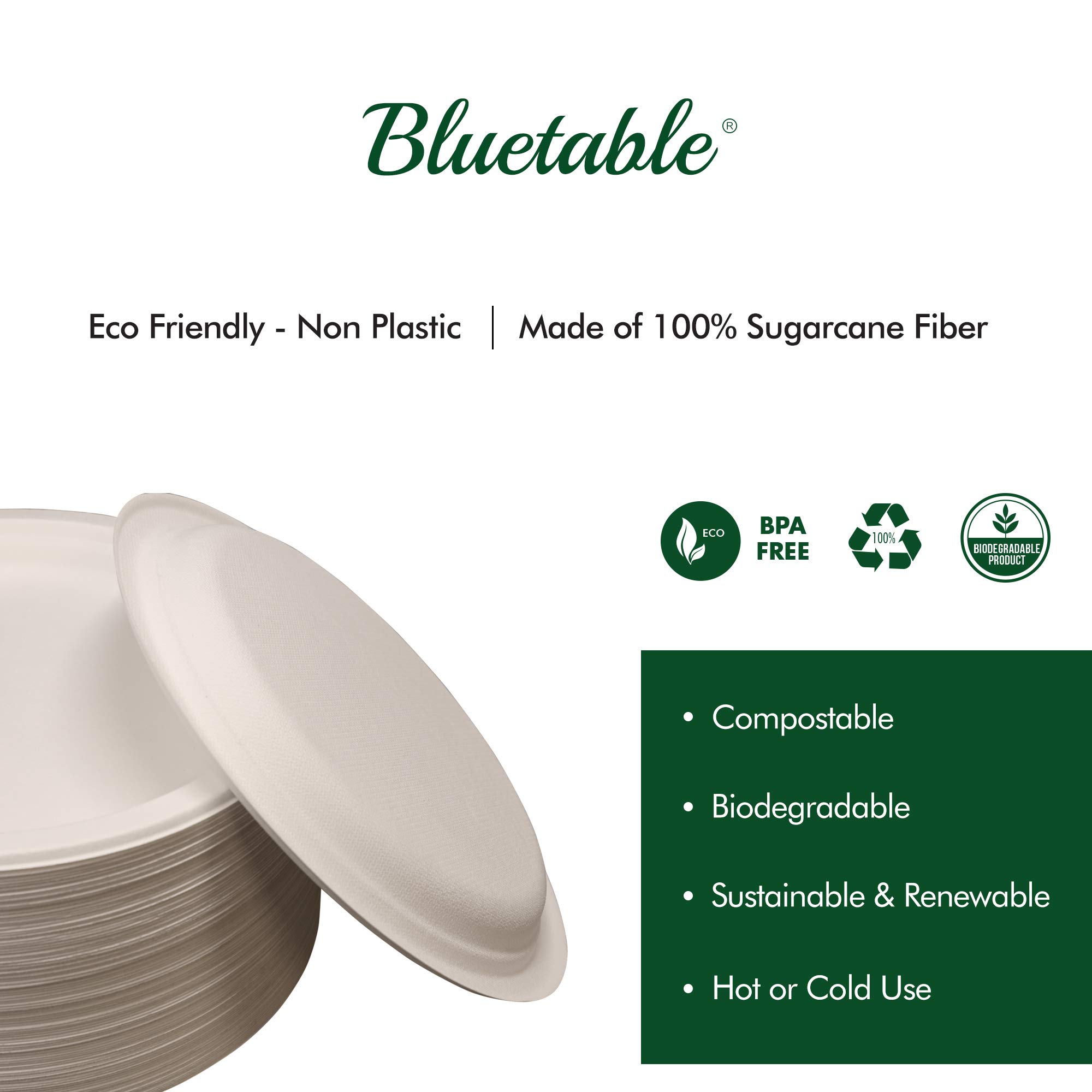 Compostable Paper Plates...B0CW28P3MM | Encarguelo.com.ec