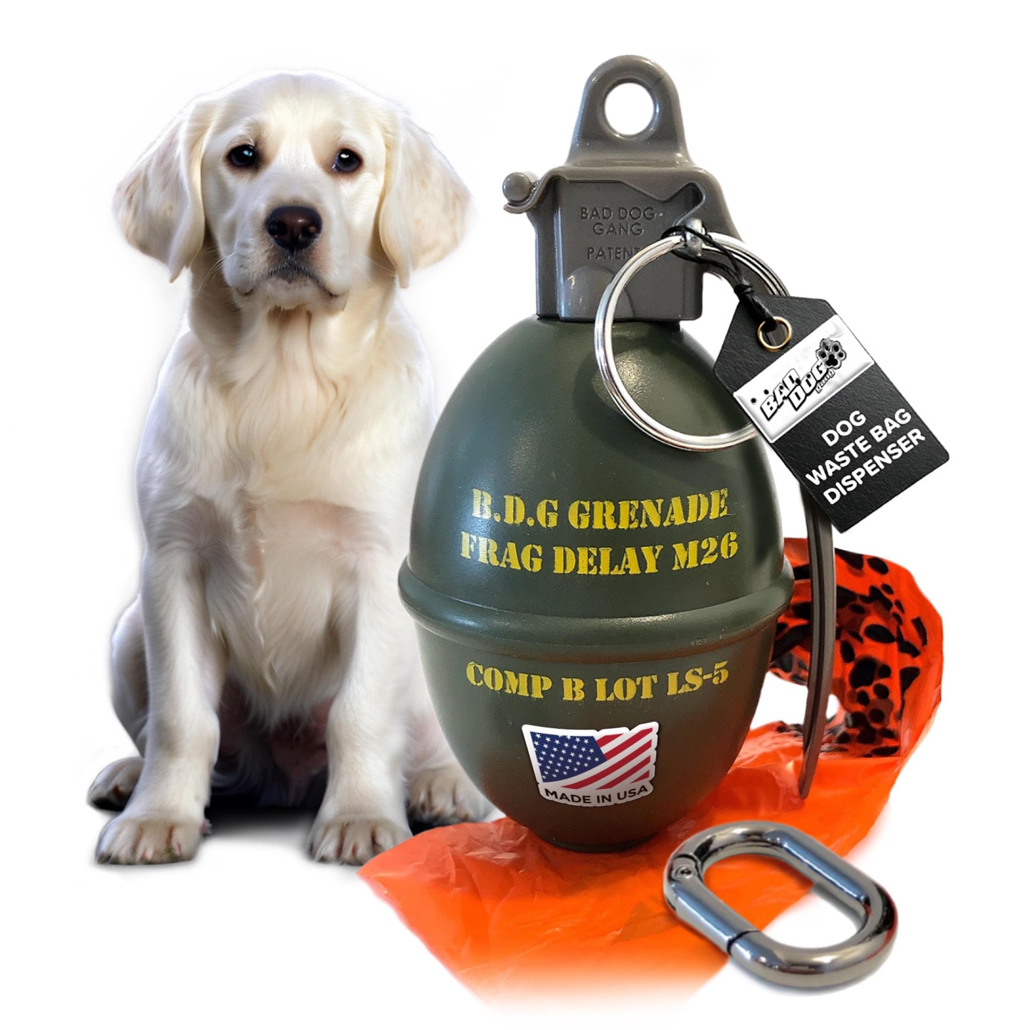 Can Dogs Con Caca Gdv