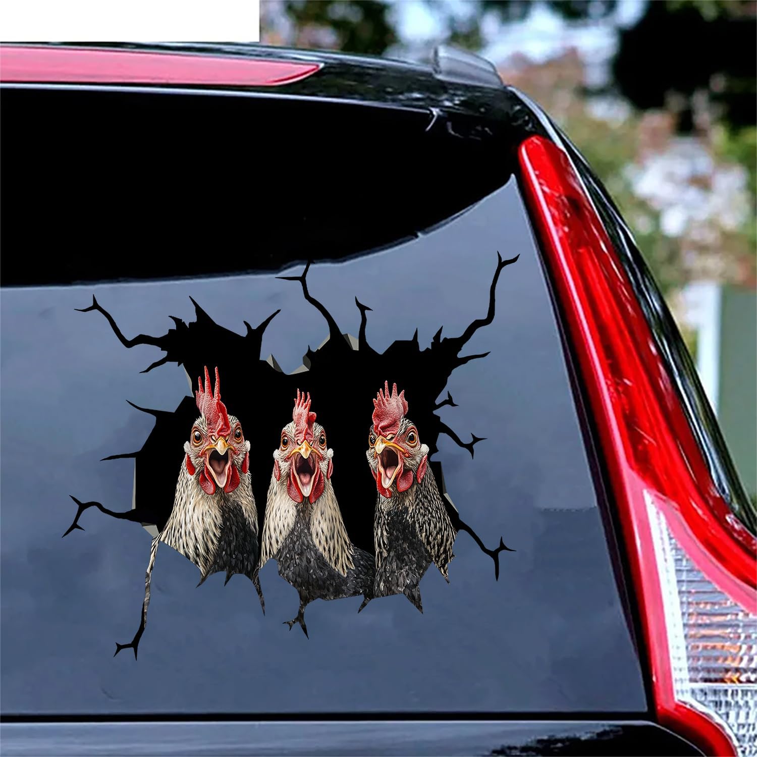 Amazon.com - Chicken Stickers, Chicken Car Decals - 3D Realistic Farm ...