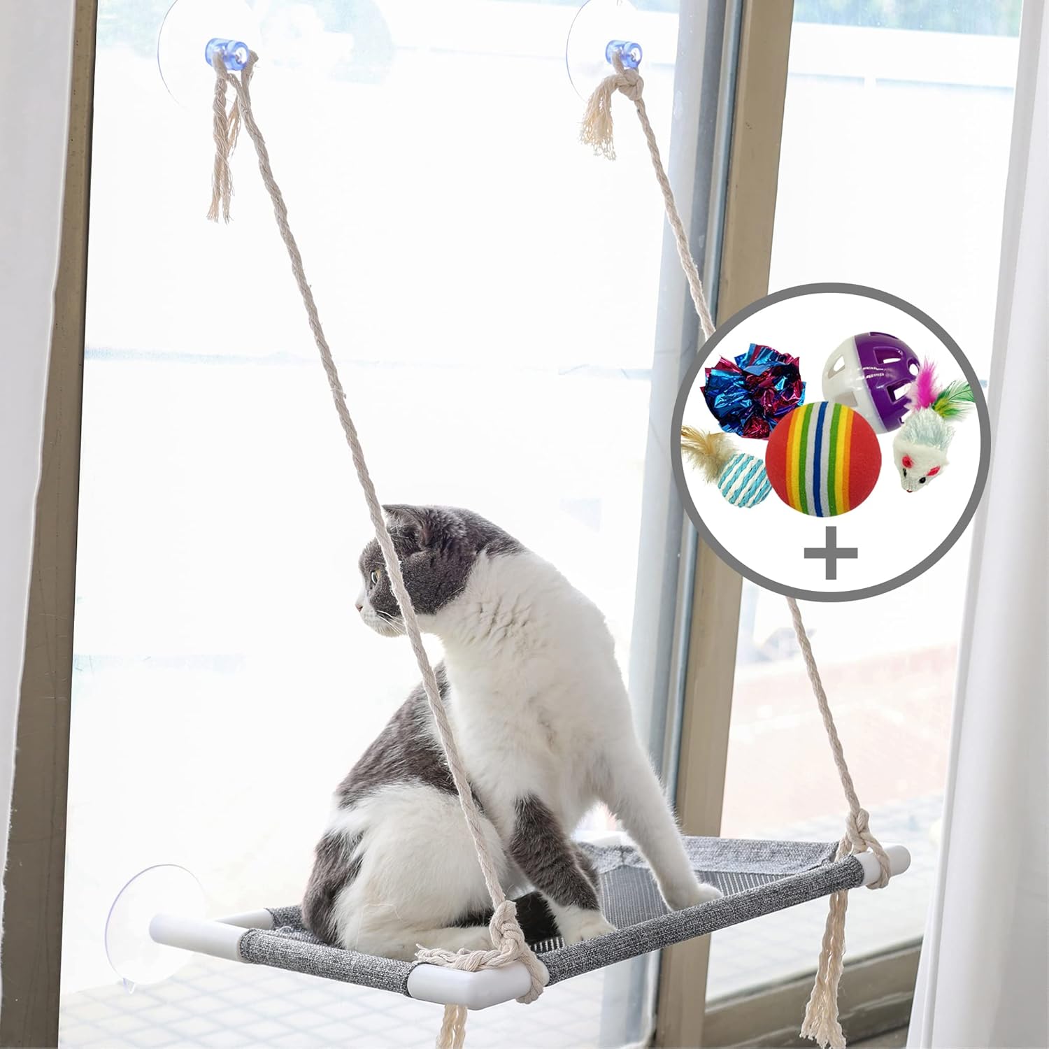 Amazon.com : Cat Windows Perch, Cat Windows Hammock, Cat Window Seat ...