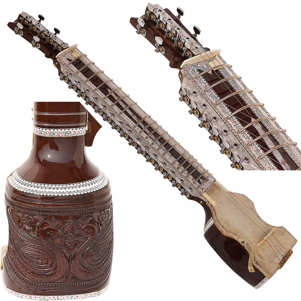 Dilruba With Fiber Hard Case Pro Quality Total Machine Head ...