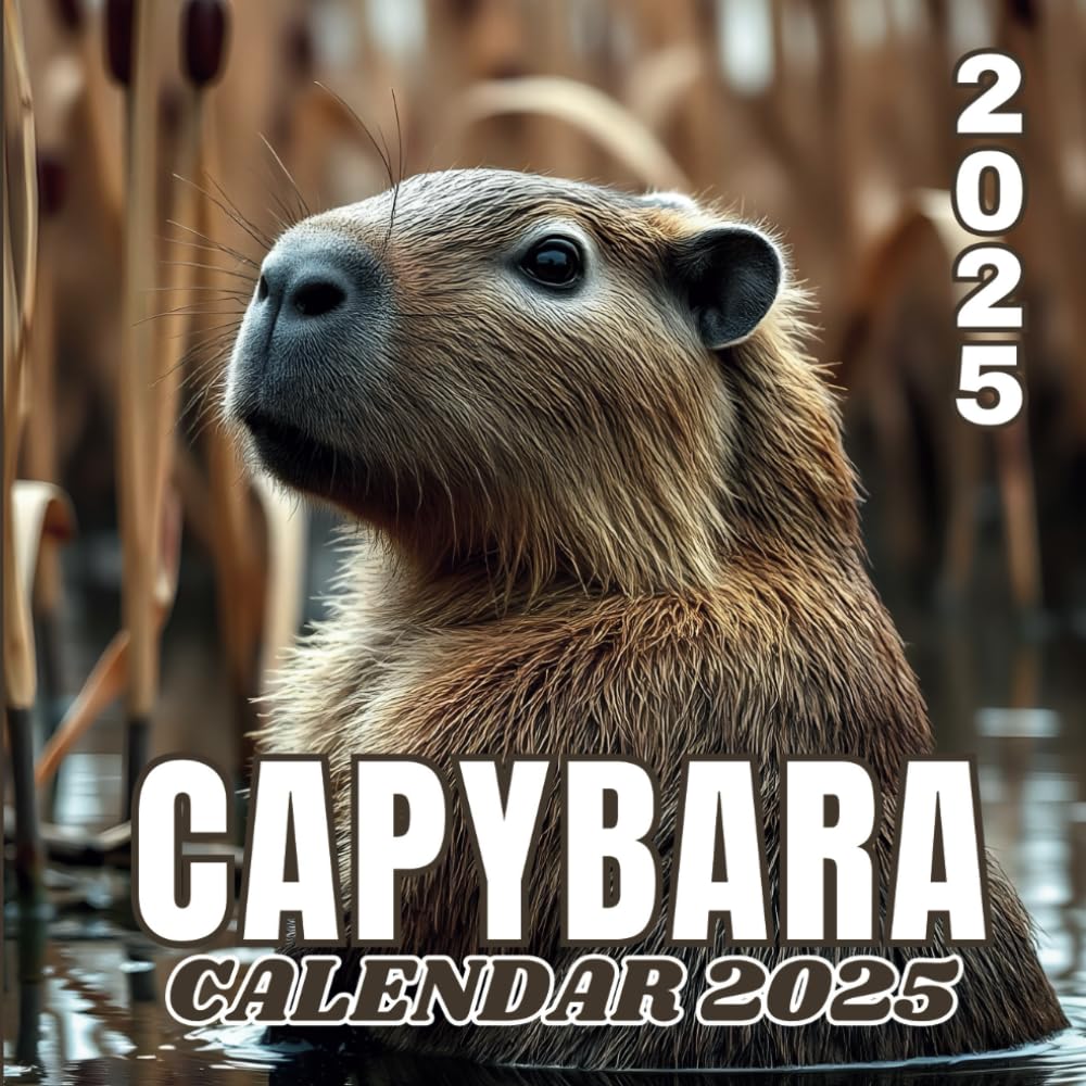 Amazon.com: Capybara 2025 Calendar: 12 Months of Capybara Animal from ...