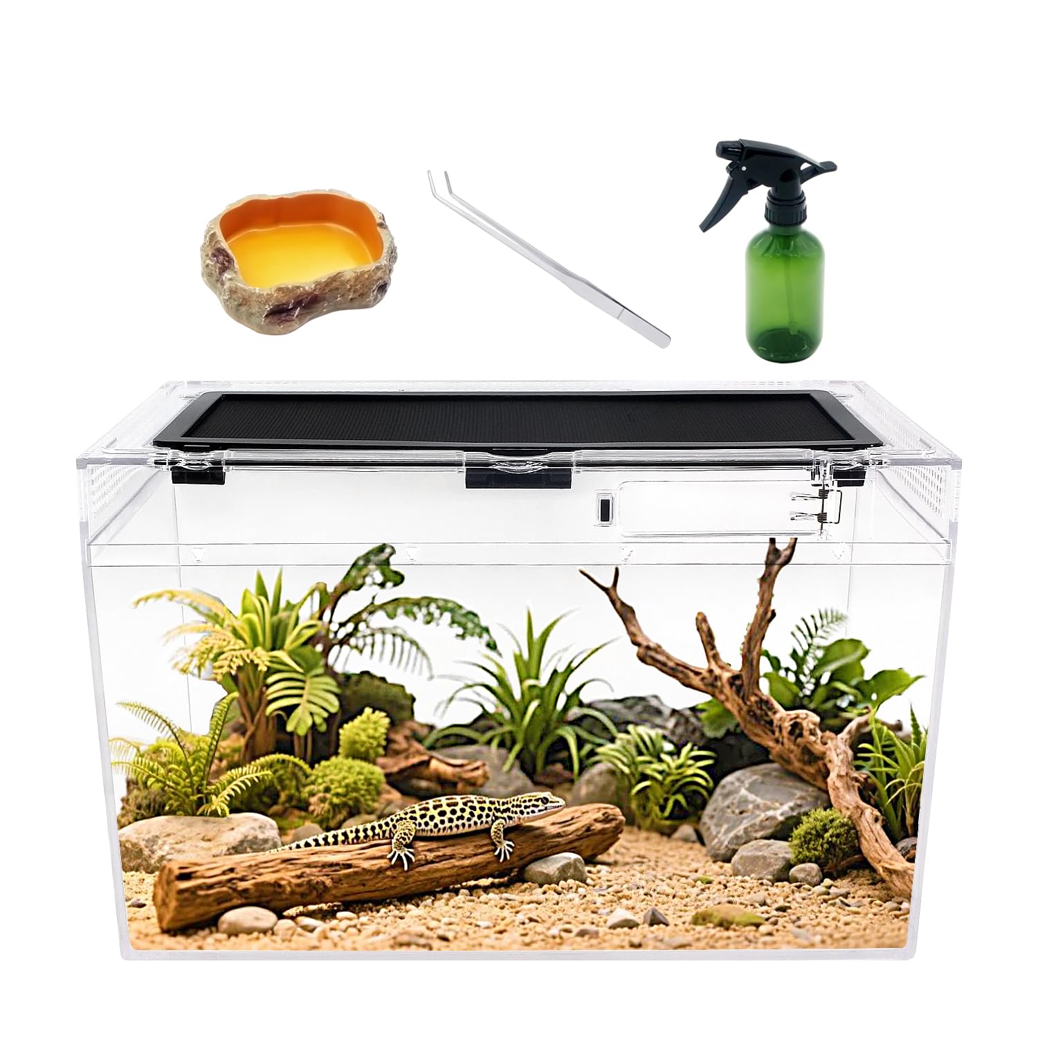 Vivarium Terrarium Aquarium Freshwater Tanks