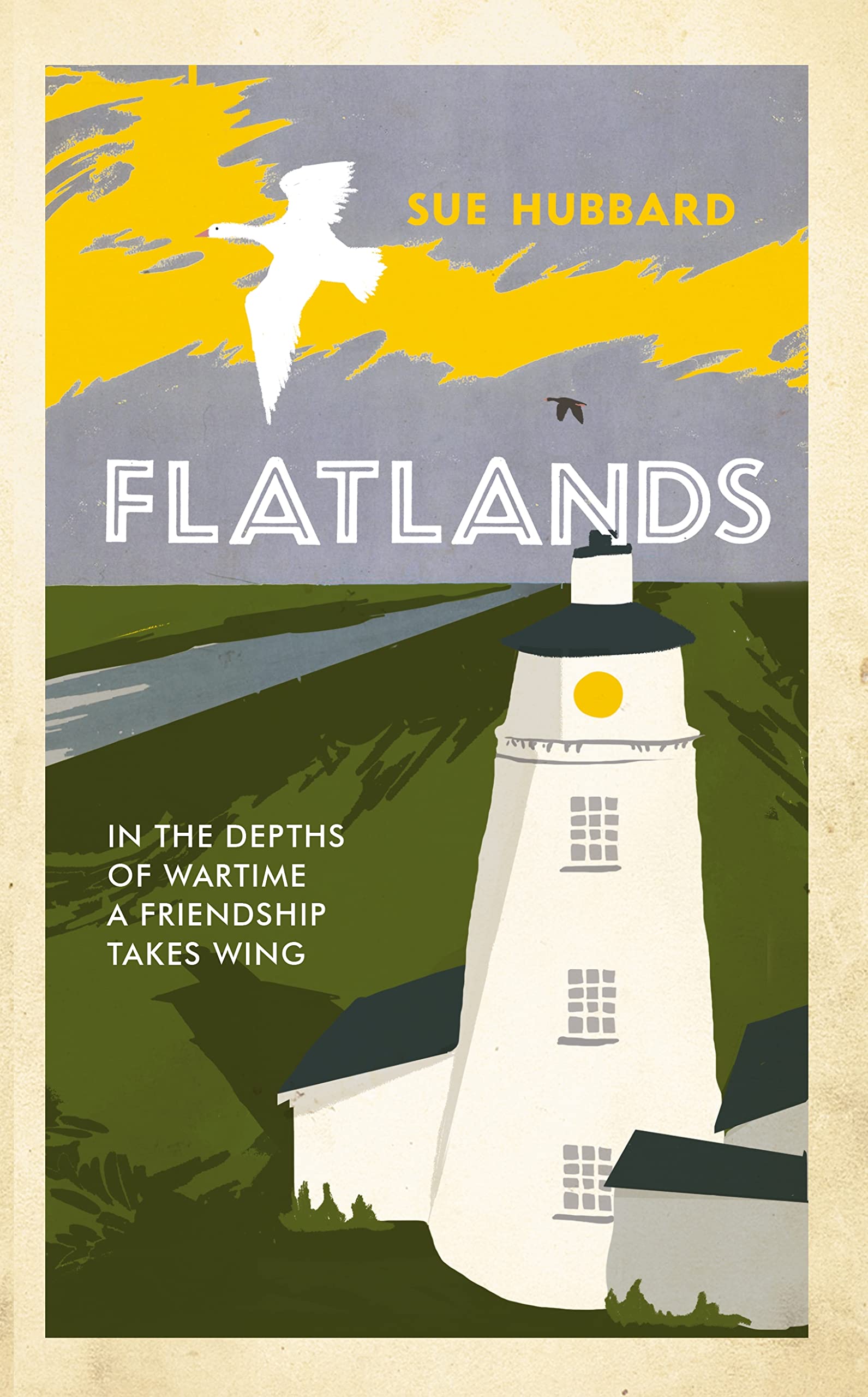 Flatlands: unknown author: 9781911590743: Amazon.com: Books