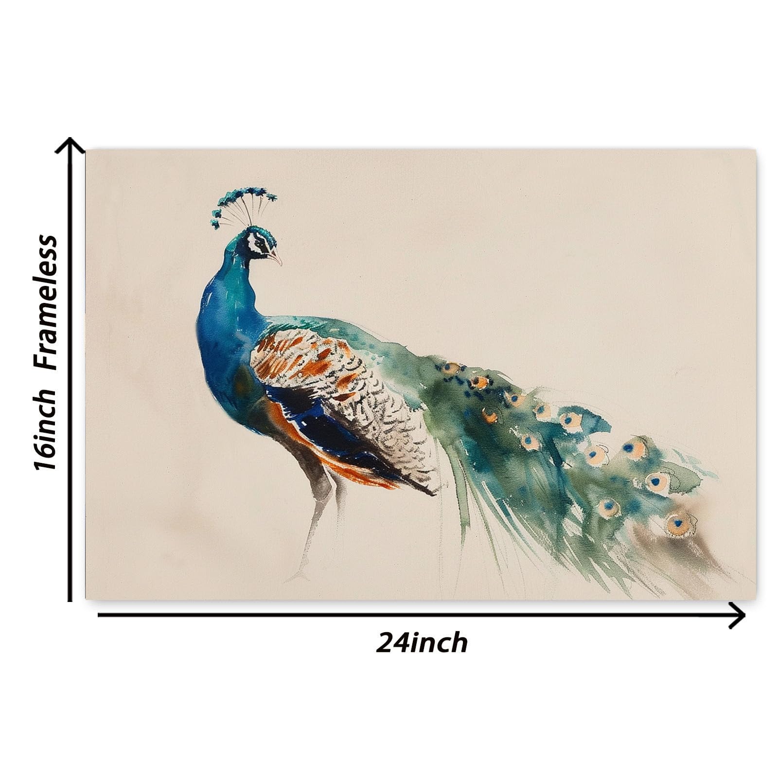 Dibujo Abstracto De Pavo Real