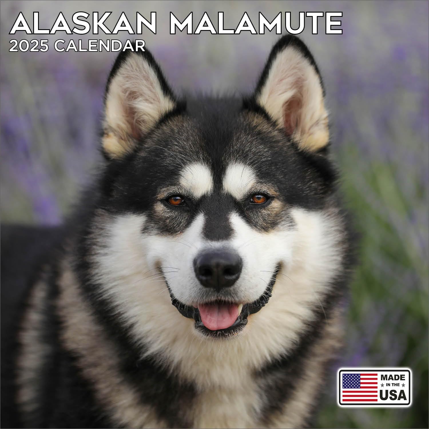 Snapklik.com : 2025 Alaskan Malamute Calendar - Dog Breed Wall Calendar ...