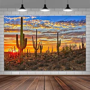 Amazon.com : Desert Scenery Backdrop Cactus Photography Backdrops ...