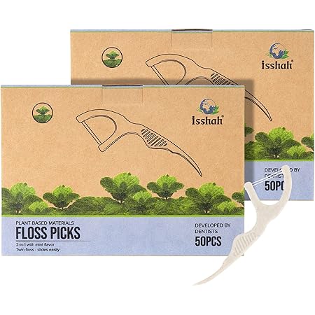 Amazon.com : Natural Floss Picks (200 Counts) Biodegradable Plastic ...