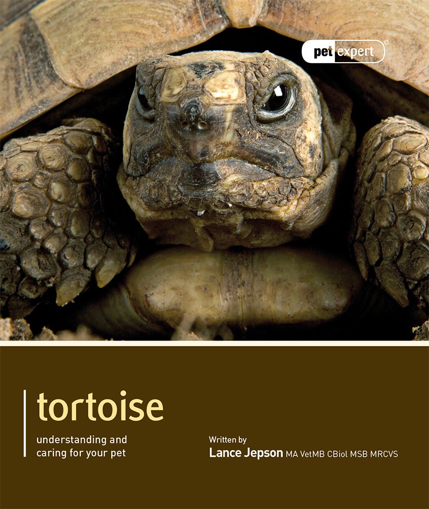 Tortoise: Pet Book (Pet Expert): Jepson, Lance: 9781907337147: Amazon ...