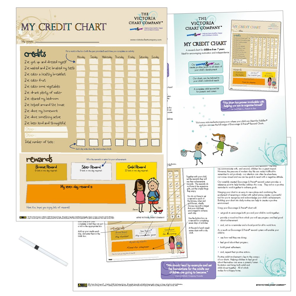 My Credit Reward Chart 7yrs An Incentive Chart Chore Chart | Desertcart ...