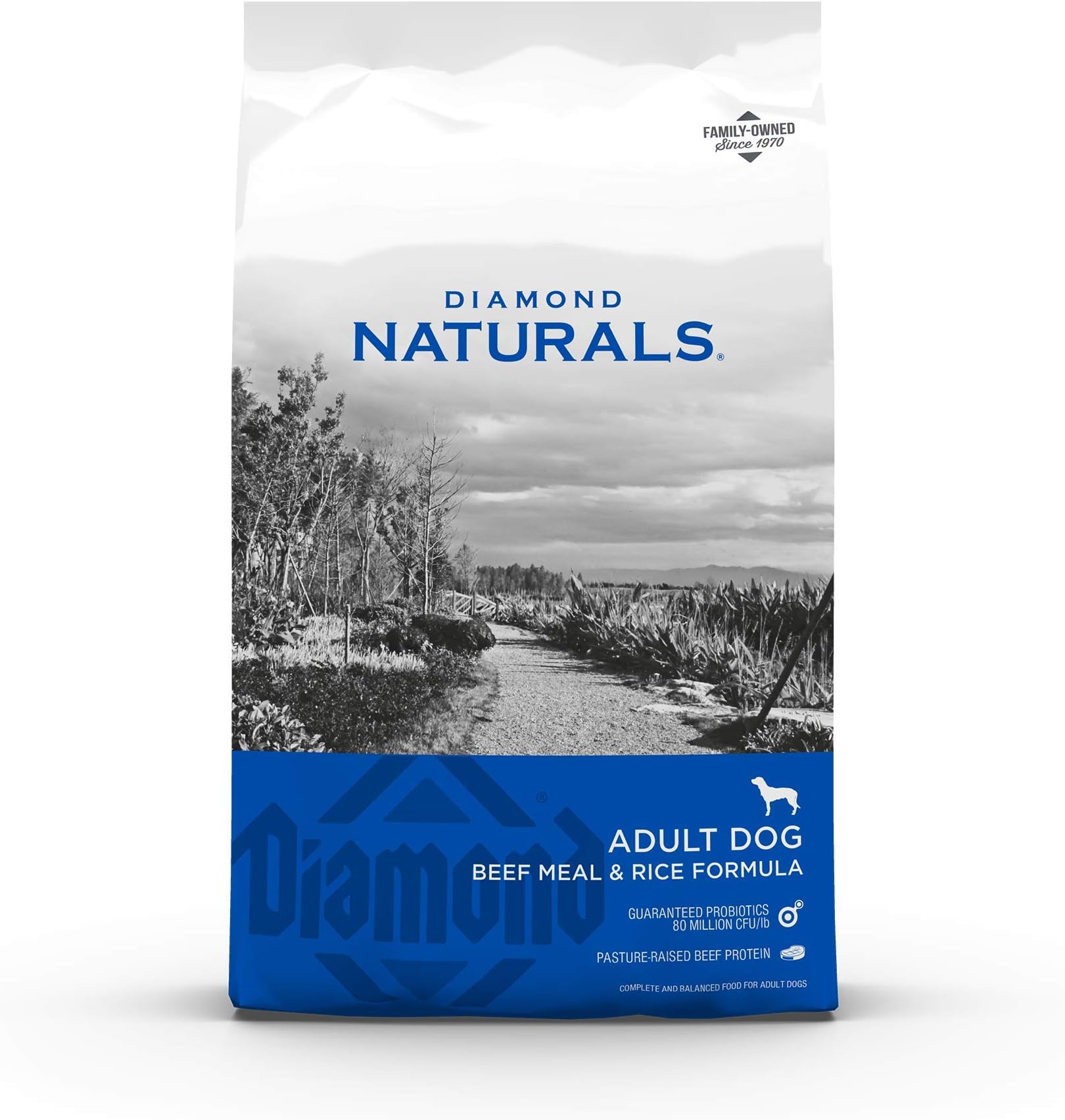 Amazon.com: Diamond Naturals Dry Food for Adult Dog, Beef and Rice ...