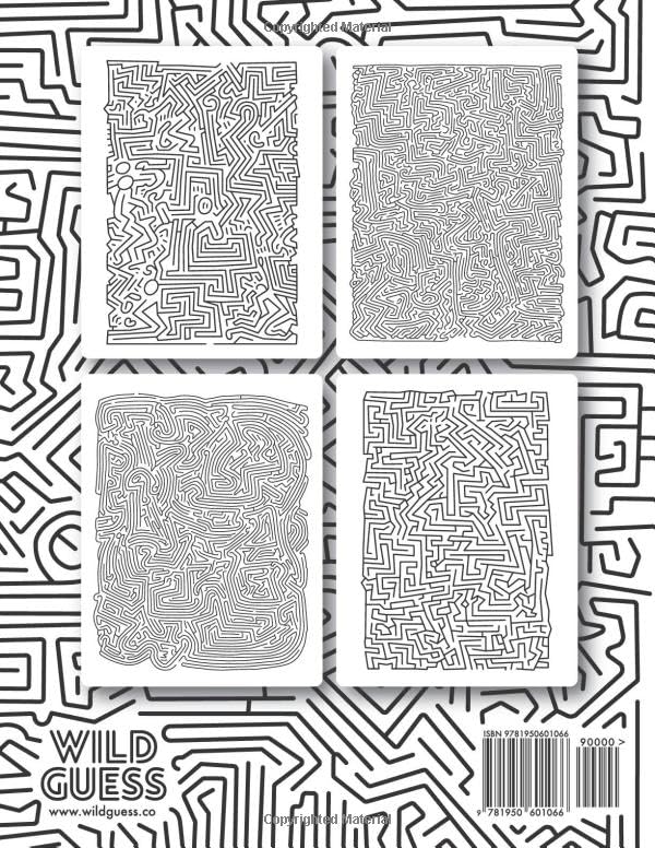 Snapklik.com : The Amazing Book Of Mazes: 75 Handmade Mazes For All Ages
