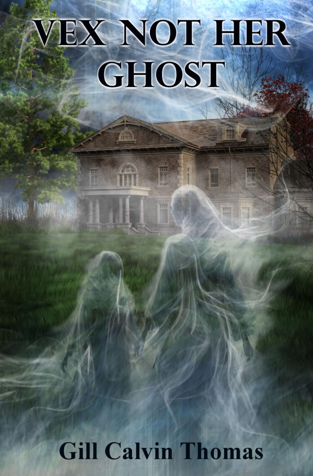 Vex Not Her Ghost: Amazon.co.uk: Calvin Thomas, Gill: 9781738502363: Books