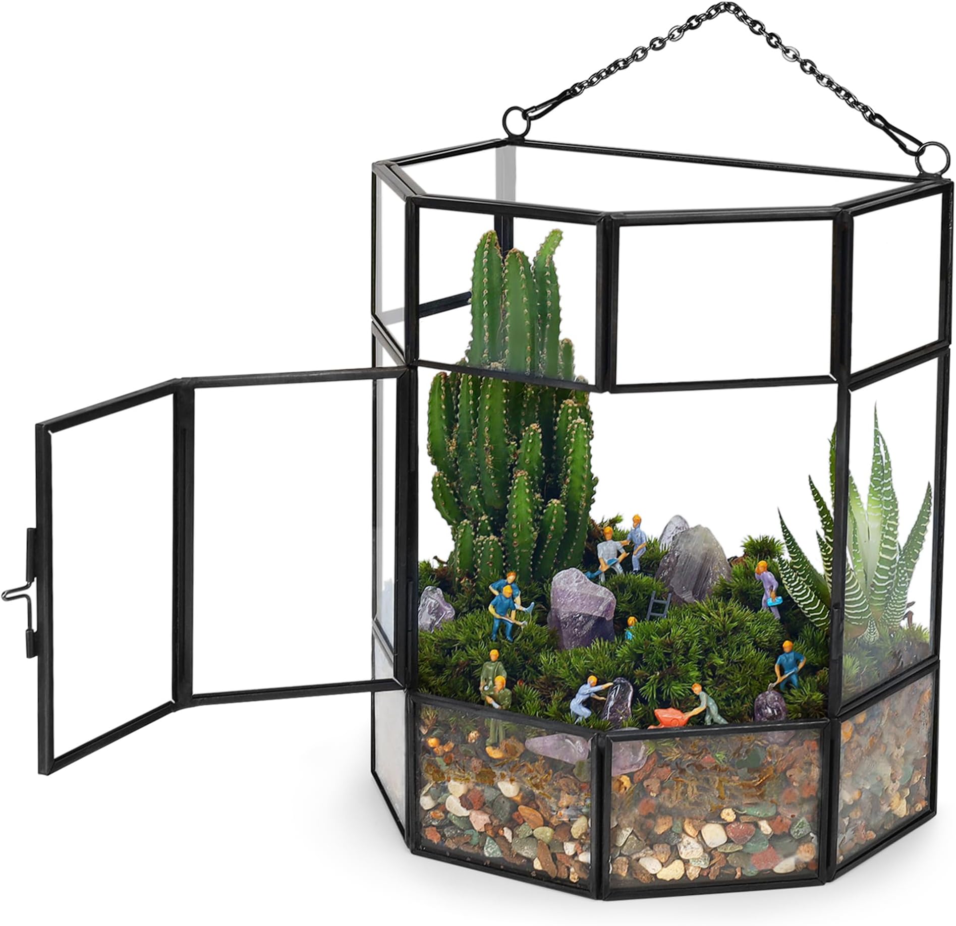 Amazon.com: Chonsun Glass Geometric Plant Terrarium with Lid Glass ...