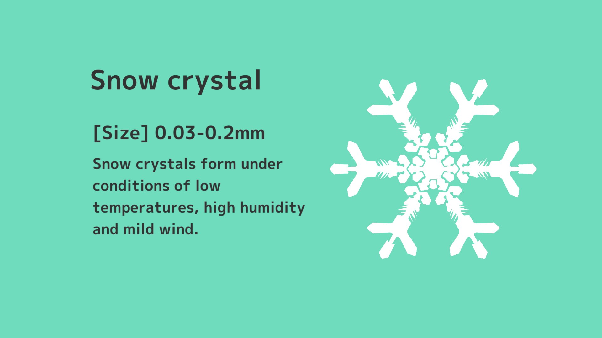 Dot Scale - App on Amazon Appstore