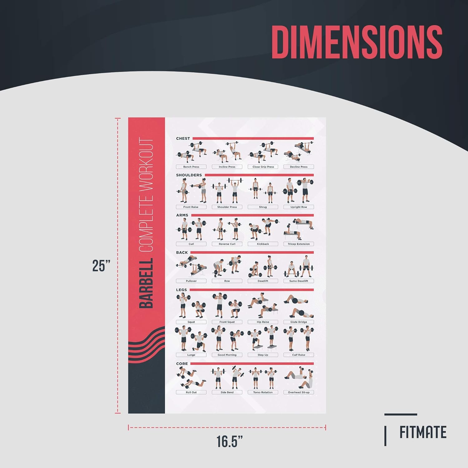 Buy FitMate Barbell Workout Exercise Poster - Workout Routine with Free ...