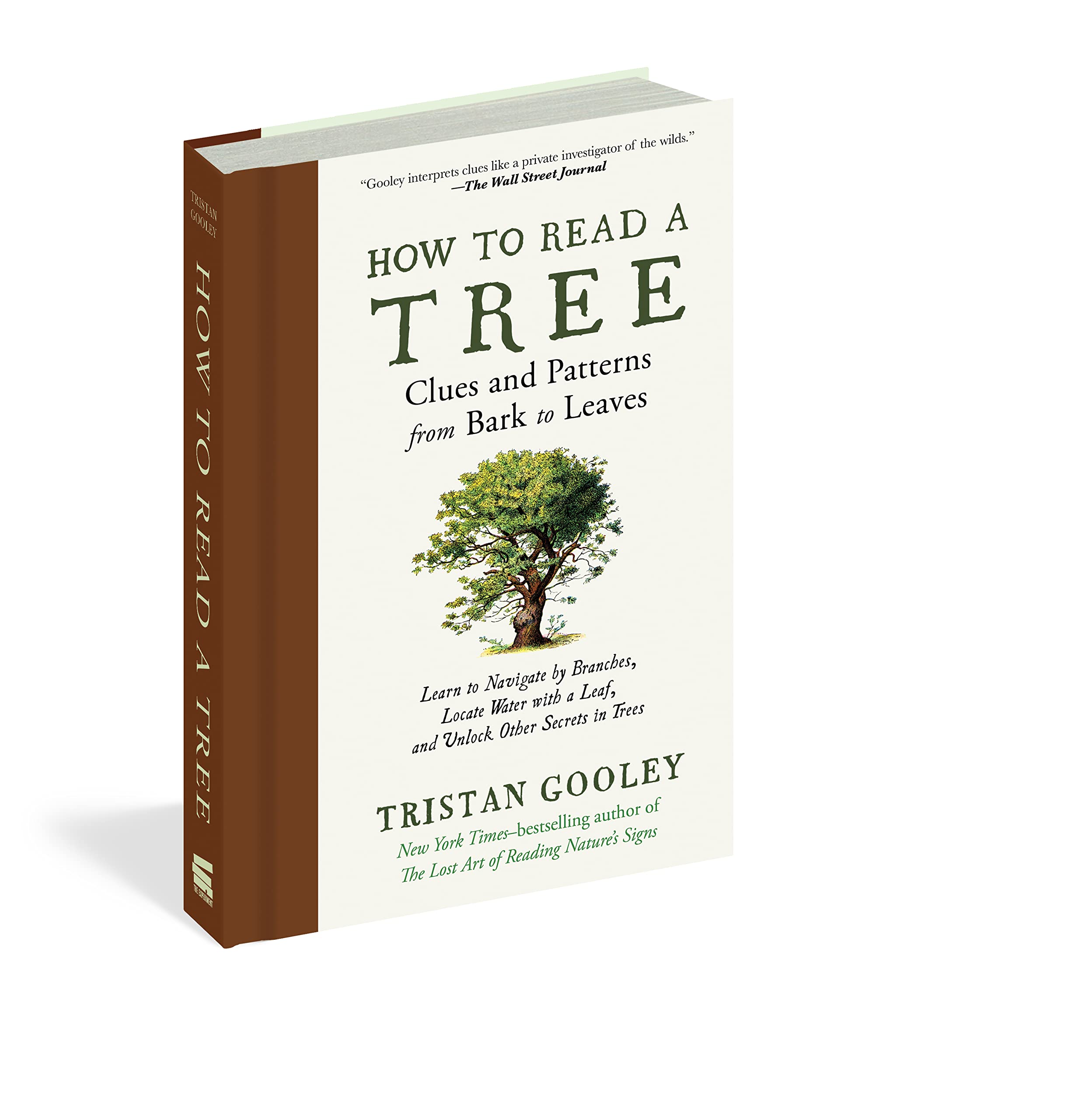 Snapklik.com : How To Read A Tree: Clues And Patterns From Bark To Leaves