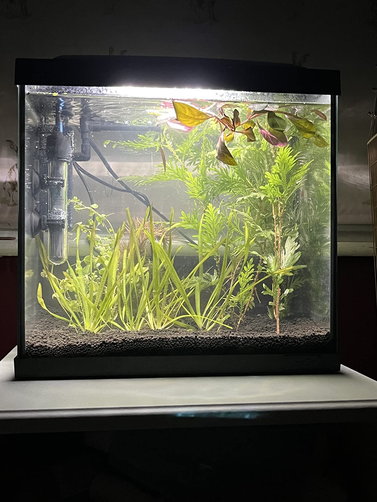 Superfish Start 30 Aquarium Tropical 25L - Black : Amazon.co.uk: Pet ...
