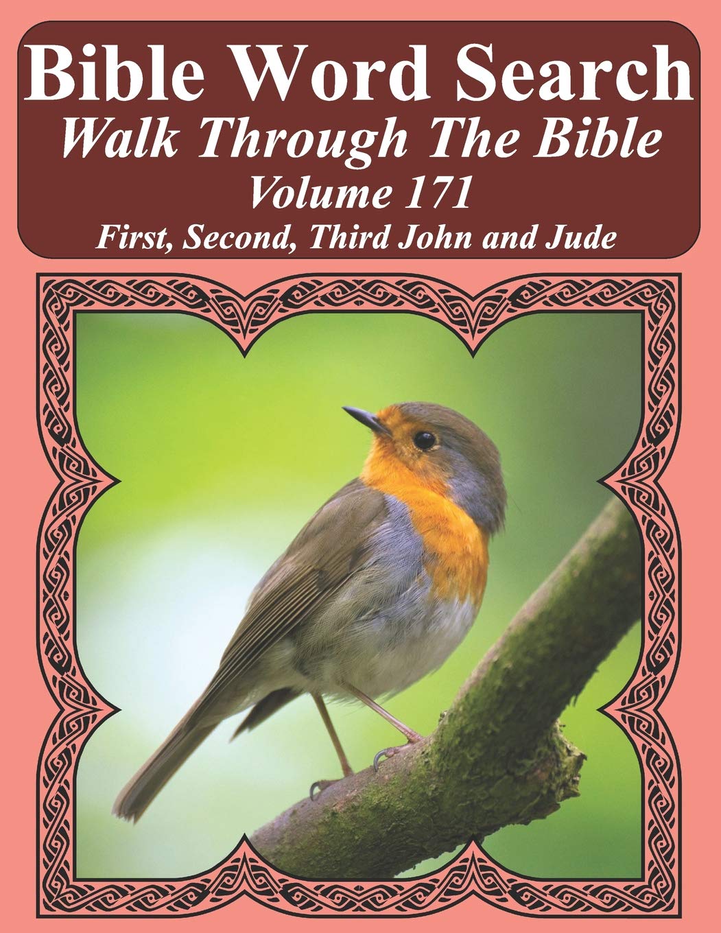 Bible Word Search Walk Through The Bible Volume 171: First, Second ...