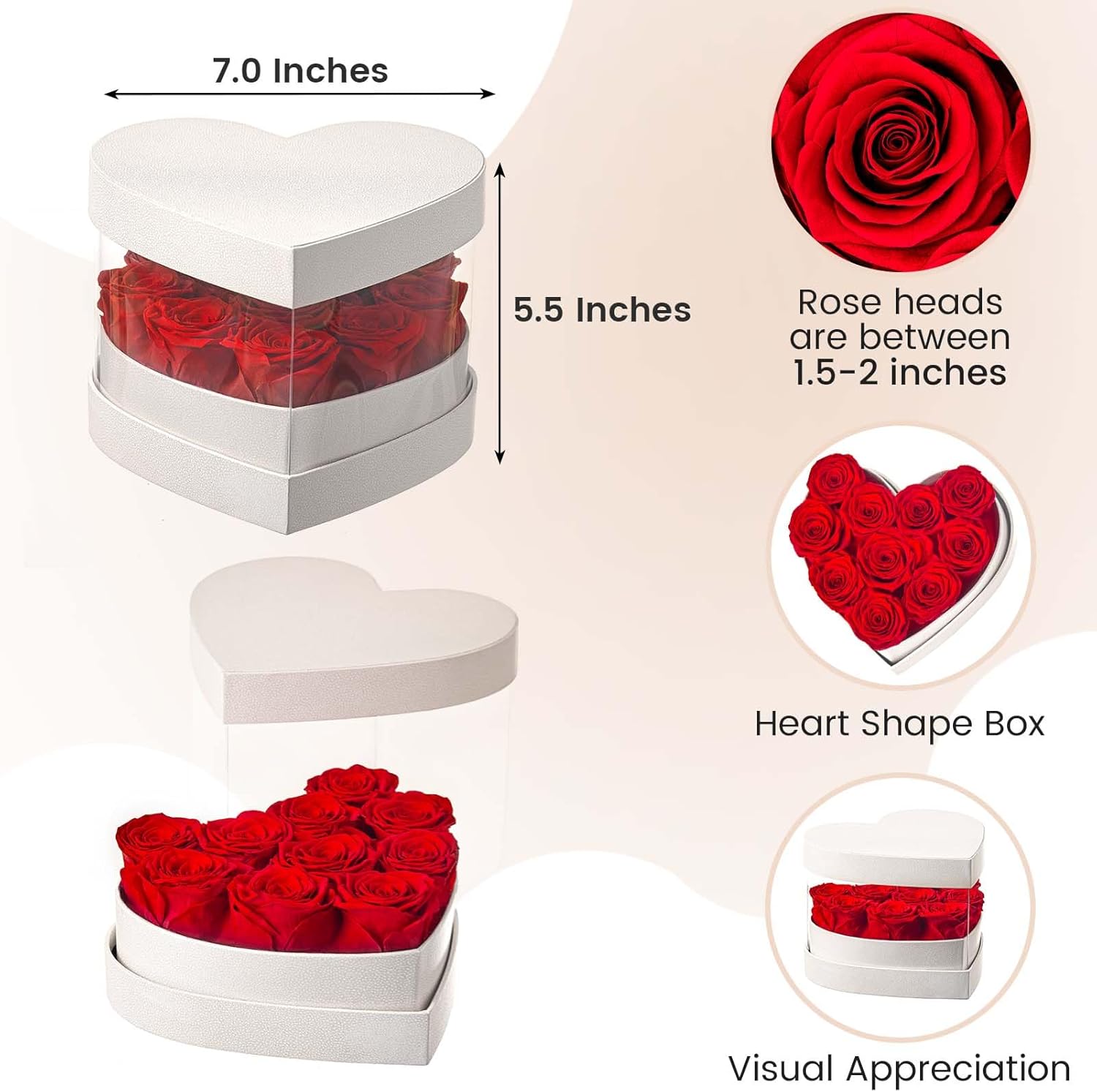 Beaulasting Roses Forever Flowers in Heart Shape Box – 10 rosas ...