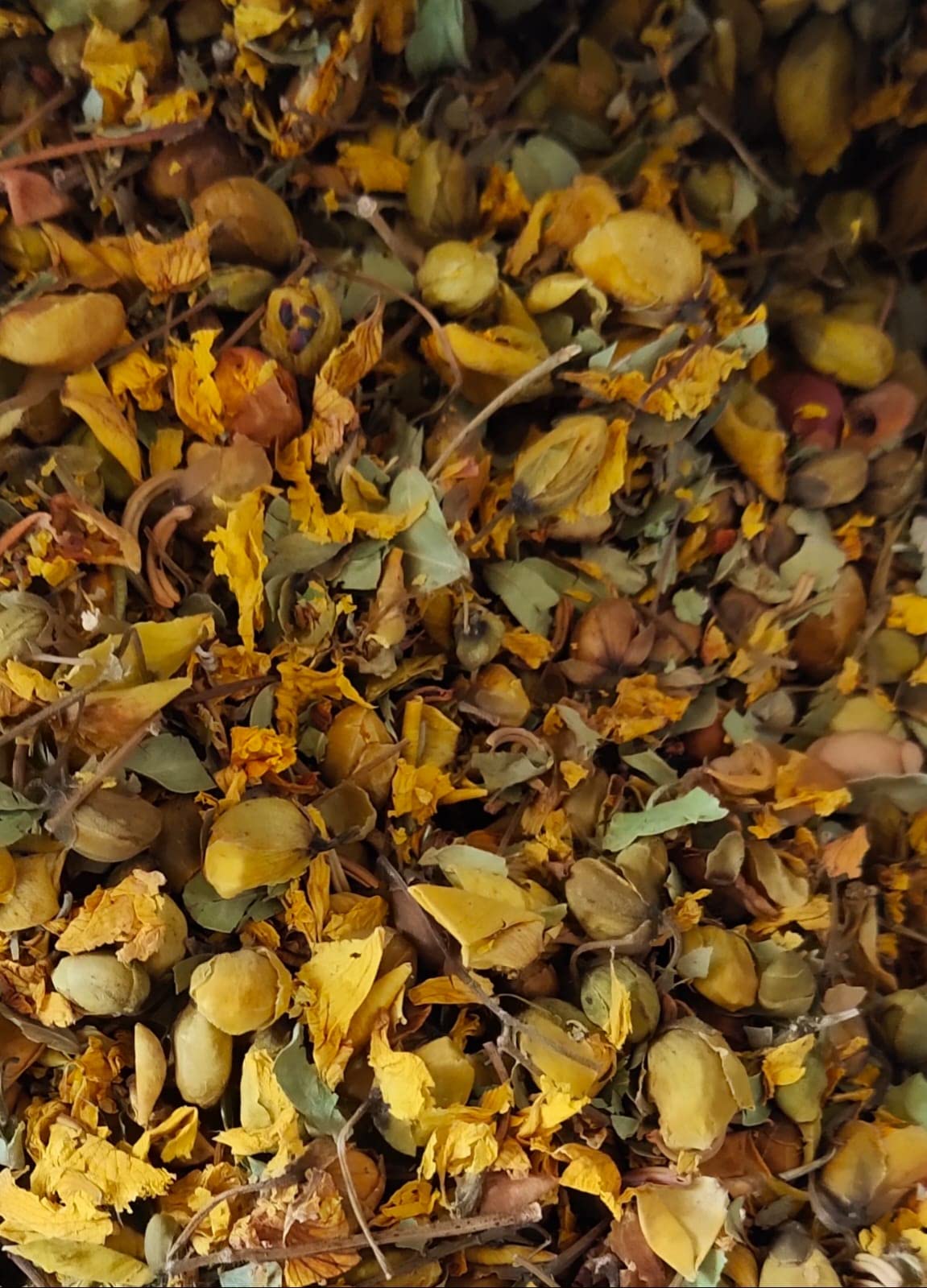 DIETS ORGANICS Dried Avarampoo Flower/Aavartaki/Tarwarm raw - 250 Gms ...