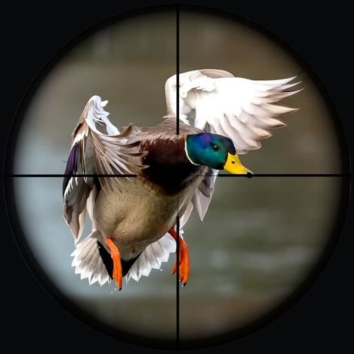 Duck Hunting Photos